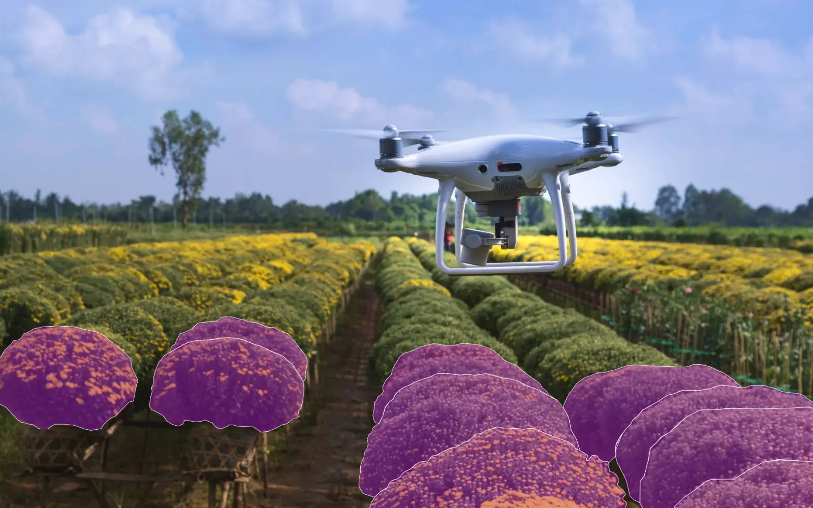 Computer vision in AI drones 2024 [+ Client use case] | SuperAnnotate